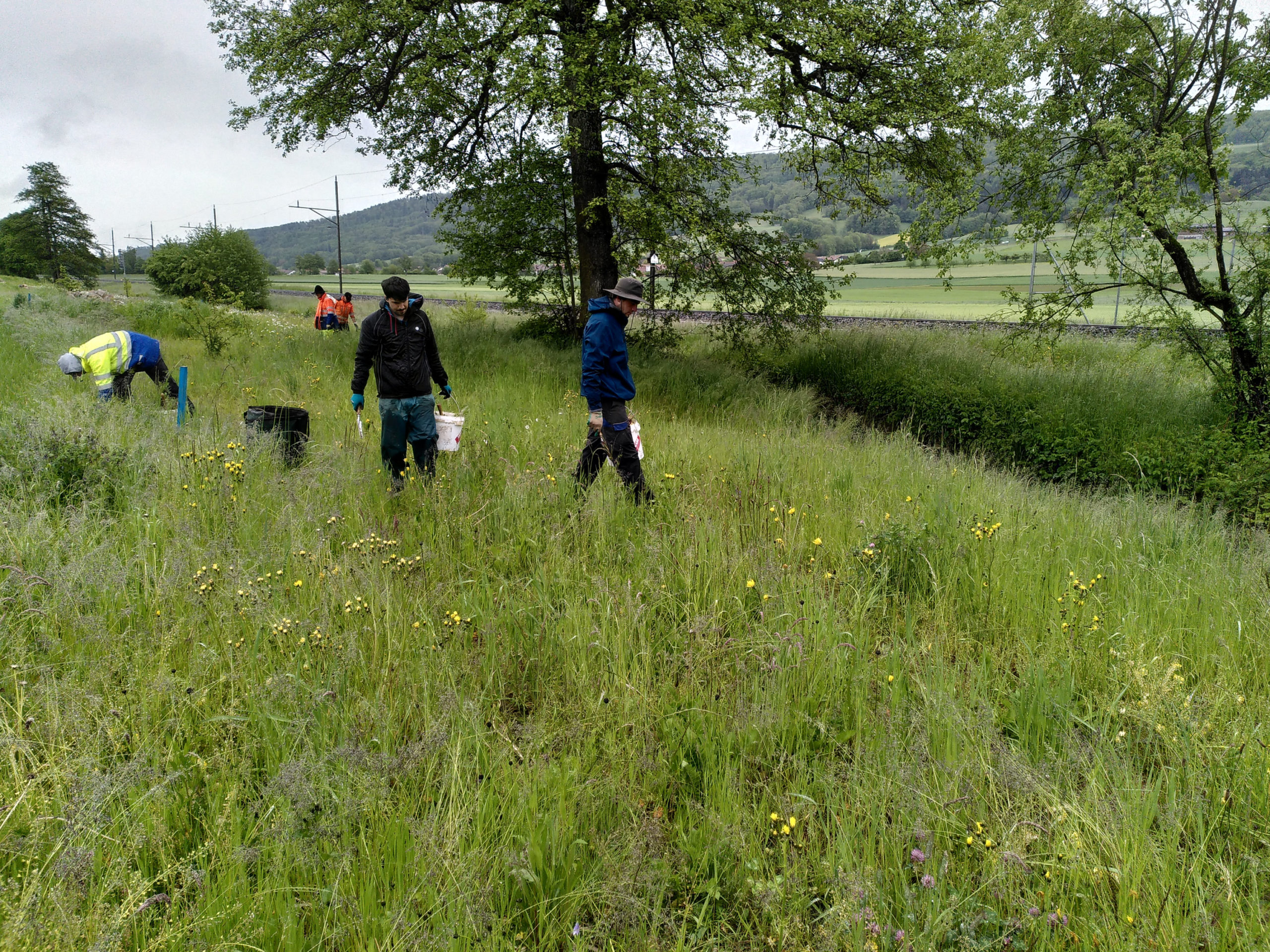 Revitalisierung der Surb / Revitalisation du Surb - Stiftung Wirtschaft ...